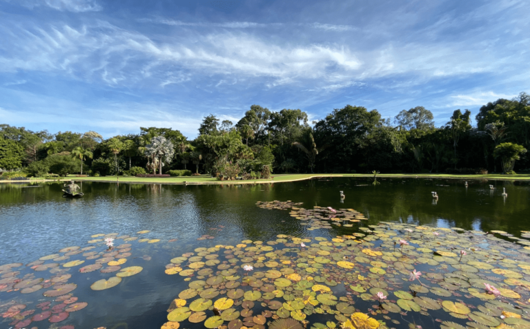 11 motivos para visitar o Jardim Botânico Plantarum em Nova Odessa