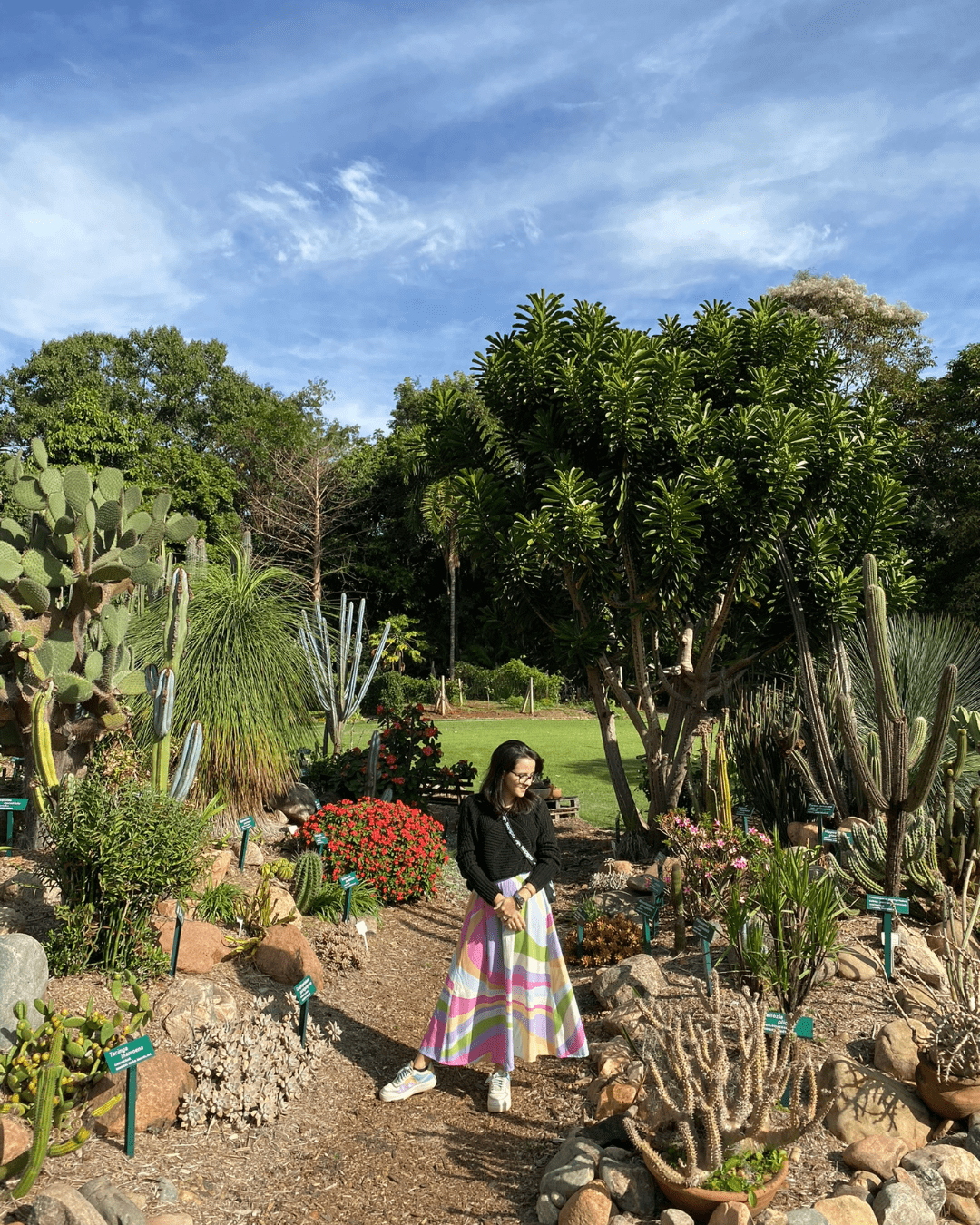 11 motivos para visitar o Jardim Botânico Plantarum em Nova Odessa